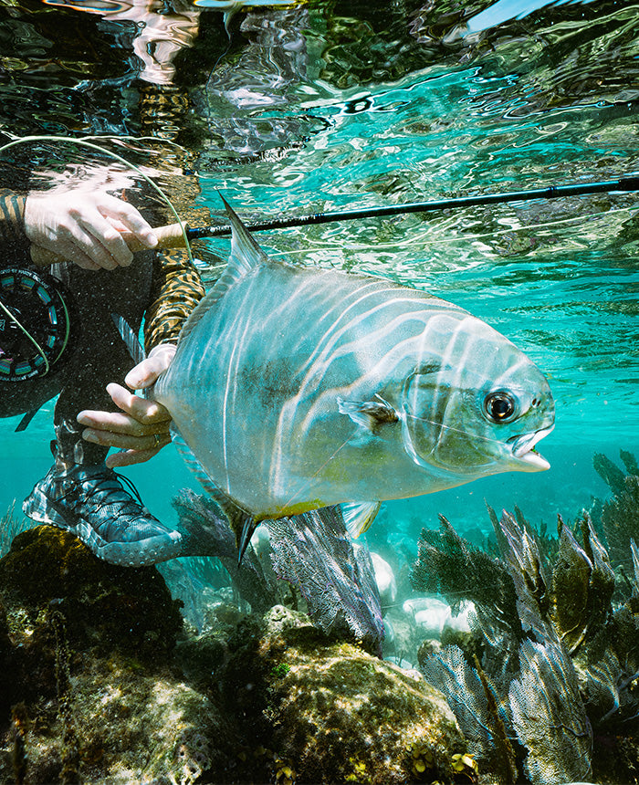 How to Master Permit Fishing Tactics - The Plug | Simms Fishing